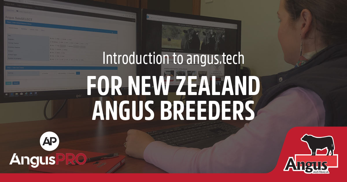 WATCH: Introduction to angus.tech • AngusPRO