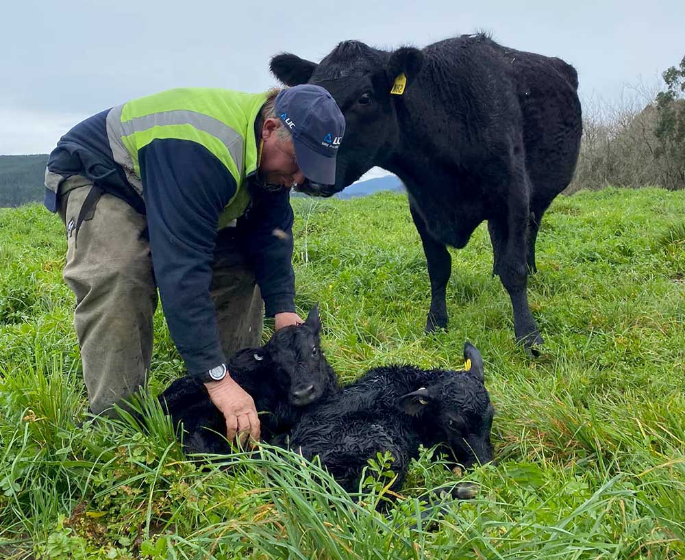 AngusPRO Education Module - 15 August • AngusPRO