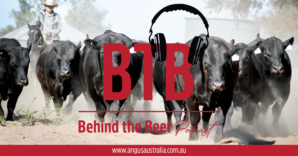 Behind the Beef Episode 23 – A go to guide to AI with Vetoquinol’s ...