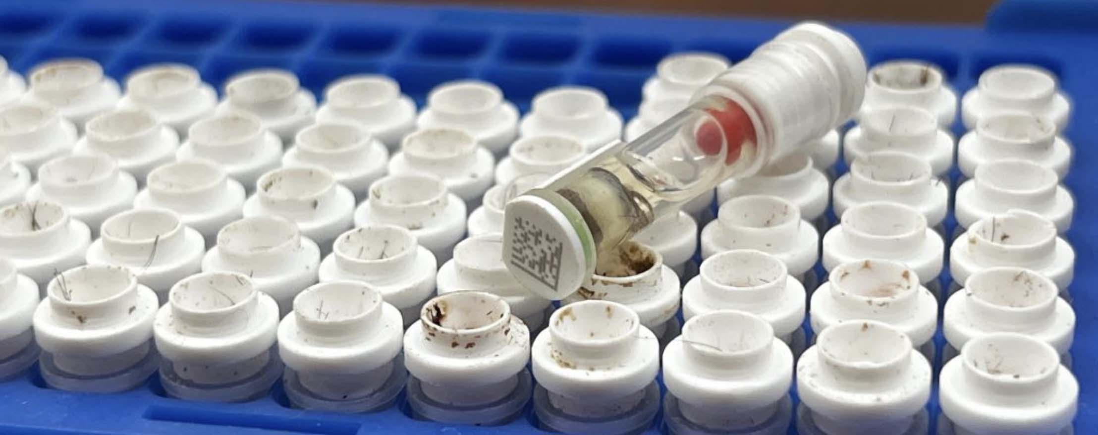 UNDERSTANDING GENOMICS Technical Specifications & Analysis