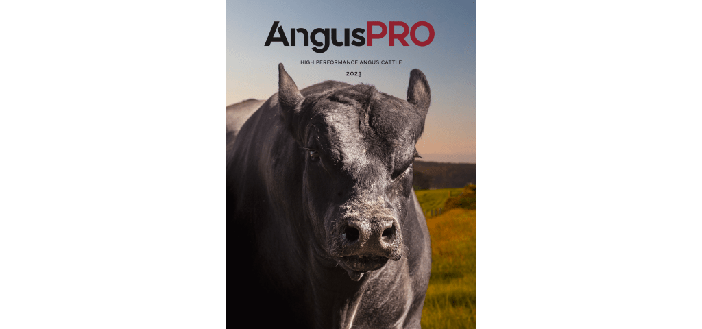 AngusPRO Magazine 2023 • AngusPRO