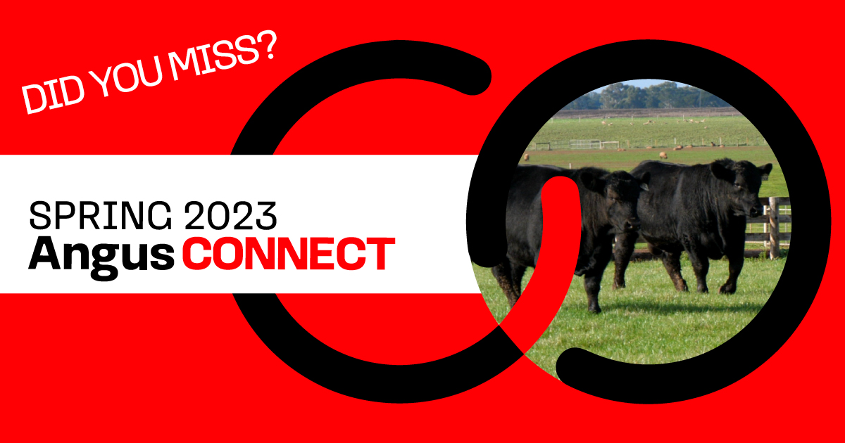 Angus CONNECT - Spring 2023 • AngusPRO
