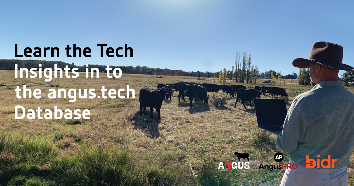 WATCH — Learn the Tech, Insights into the angus.tech Database • AngusPRO